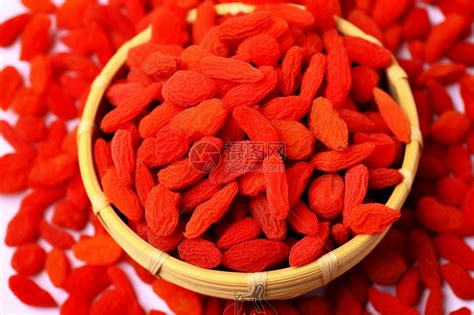 有药用价值的枸杞高清图片下载 正版图片600365700 摄图网
