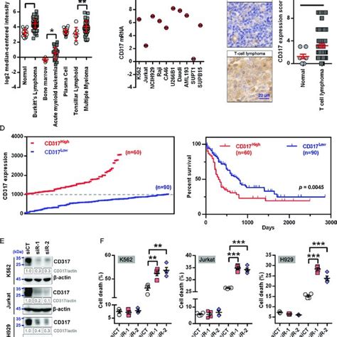 Cd317 Upregulation Correlates With Cell Survival And Poor Prognosis In