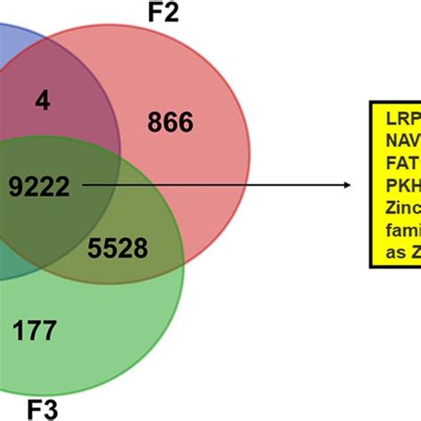 venn diagram exhibiting the overlap of all mutations detected in