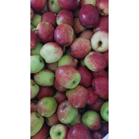 Jual Apel Jenis Ana Campur 1kgapel Fresh Malang Shopee Indonesia