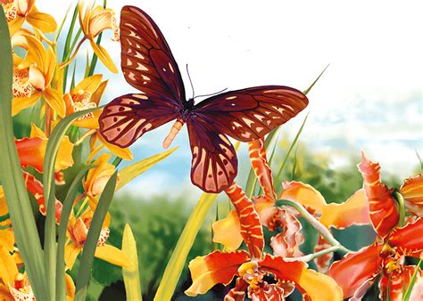 Книги про Бабочек для детей список из топ 50 лучших детских книг