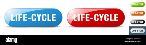 Life Cycle Button Sign Key Push Button Set Stock Vector Image And Art