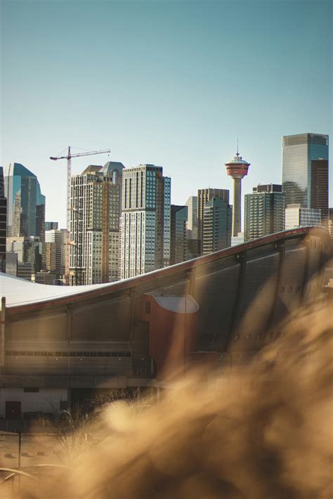 Calgary Taylor Ryan
