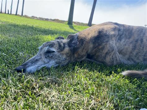 Dan Noyes Dannoyes Twitter