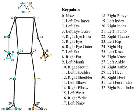 Automated Gait Analysis Based On A Marker Free Pose Estimation Model Pmc