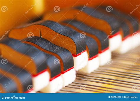 Piano Dampers Closeup Piano Stock Image Image Of Instrumental