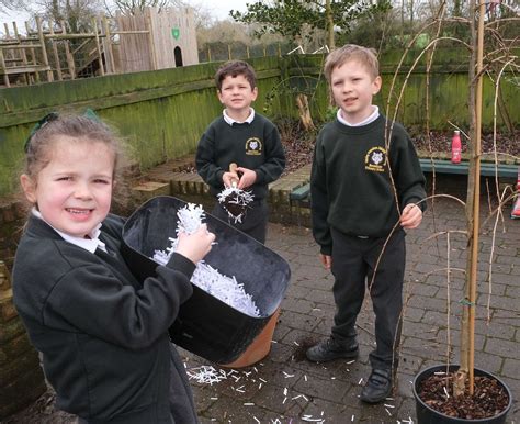 Beenham Primary School Pupils Get Lesson In Positivitree