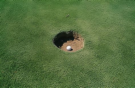 녹색 골프장 가을 감성 겨울 배경 일러스트 및 사진 무료 다운로드 Pngtree