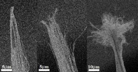 국내 연구진 탄소나노튜브 실 개발 성공