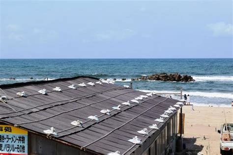 海の家の写真素材｜写真素材なら「写真ac」無料（フリー）ダウンロードok
