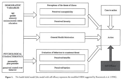 What Is Health Belief Model Framework At Clifton Figueroa Blog