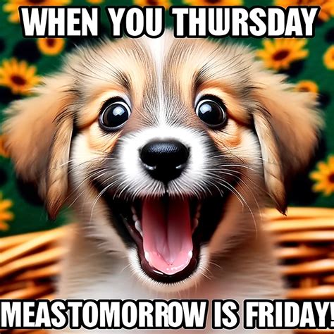 27 Hilarious Thursday Memes To Brighten Your Week 🤣📅