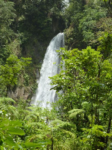 Falls At Dominica Rainforest Places Waterfall