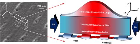 Sem Picture Fig 2 Of Periodic Nanostructures On Au Left And