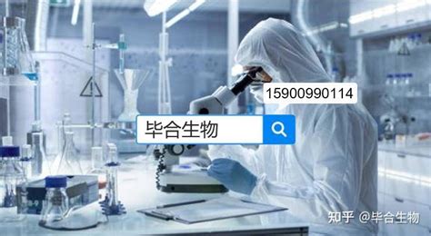 定性分析与定量分析的异同及优缺点 知乎