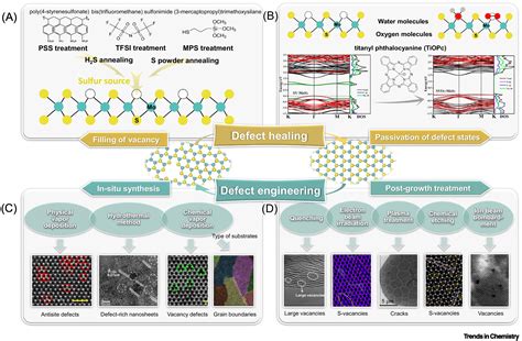 Double Edged Roles Of Intrinsic Defects In Two Dimensional Mos2 Trends