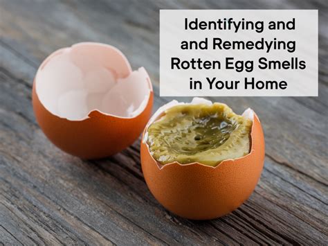 Rotten Egg Smell In House Heres Why And How To Fix It Fast Diy Home