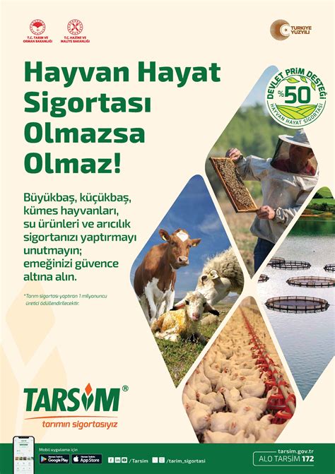 Afişler