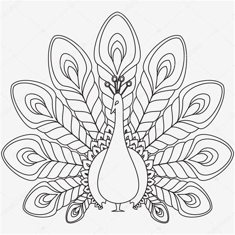 Peacock Line Drawing