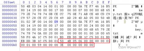 ctf实战总结 杂项 压缩包 504b0708 csdn博客