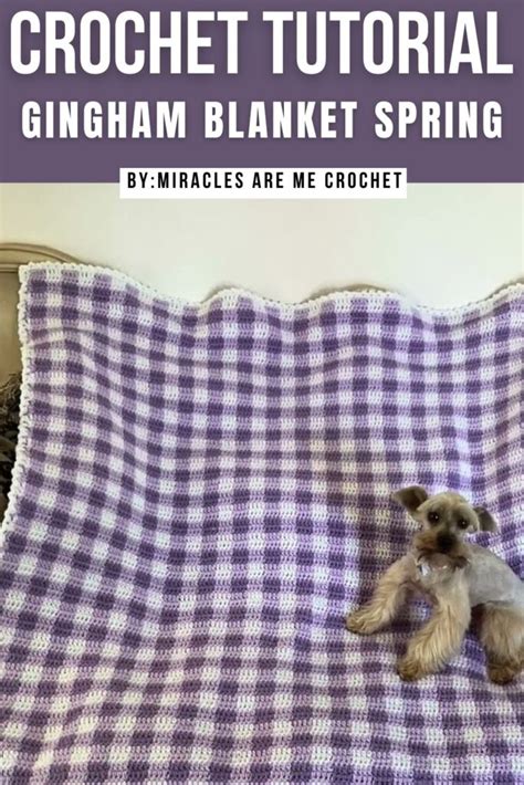 23 Crochet Gingham Blanket Patterns