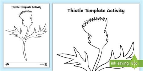 Thistle Template Cfe First Level Activity Sheet Twinkl