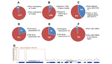 Overview Of Potential Cis Nats In Sperm And The Pollen Vegetative Cell