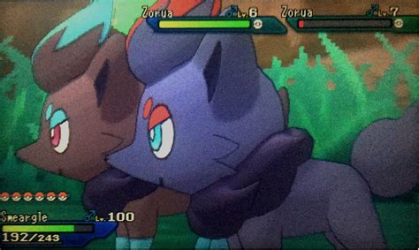 151 Best Zorua Images On Pholder Shiny Pokemon Pokemon Sword And