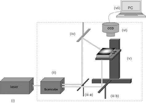 A Schematic Representation Of The Experimental Setup Used For The