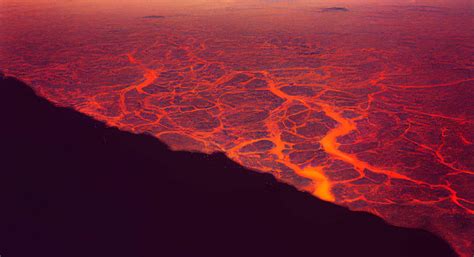 Current Biodiversity Loss Could Lead To Total Ecosystem Collapse Warns