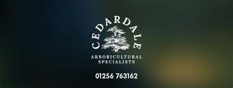 How To Check Tree Preservation Orders Tree Preservation Orders Uk