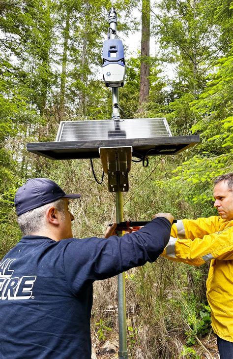 How Tiny Sensors In The Forest Are Shaping The Future Of Firefighting