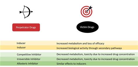 What Are Cyp3a4 Inhibitors And Examples Boc Sciences