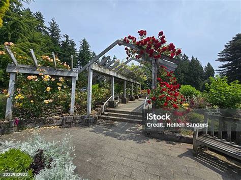 Vancouvers Stanley Park Rose Garden Flowerbeds And Views Of Grounds On