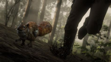Run Squirrel Run Rreddeadredemption