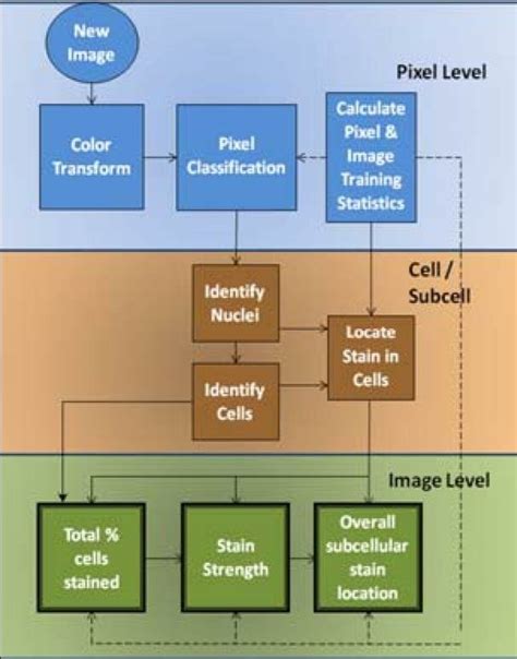 Multilevel Classification Model Flow Diagram The End Results Of The