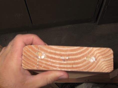 Grow How The Daddy Bed