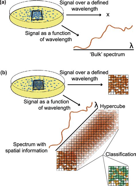 Signal Collection Using Optical Methods May Or May Not Include A Download Scientific Diagram