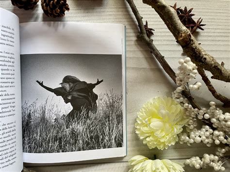 Le Nove Morgen Le Nove Sorelle Di Avalon Venexia Elisabetta Barberio