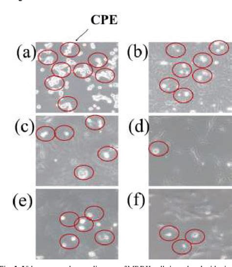 Figure 5 From Fabrication Of Copper Nanoparticle Antiviral Surface By Laser Direct Writing