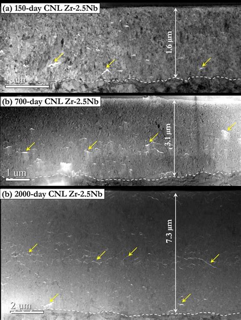 3 Morphologies And Distributions Of Oxide Cracks On A 150 Day B