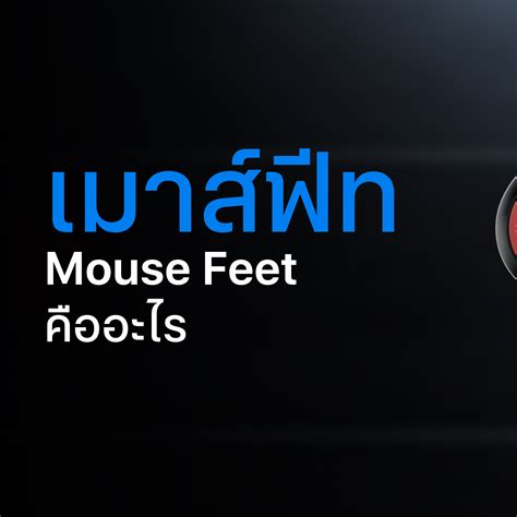 เมาส์ฟีท Mouse Feet คืออะไร แผ่นรอง Jib Computer Group