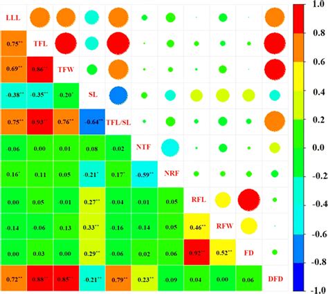 Inter Trait Correlations Across The Mapping Population Download Scientific Diagram