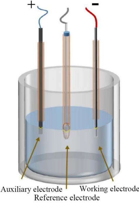 Diagram Of Three Electrode Electrochemical Cell Download Scientific Diagram