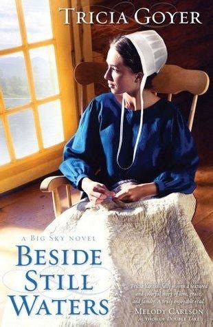 Beside Still Waters Chapter Summary Tricia Goyer