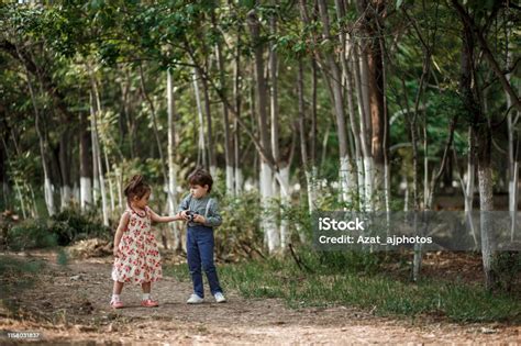 숲에서 걷는 빈티지 옷을 입은 작은 백인 소년과 소녀가 복고풍 카메라로 소녀의 사진을 찍습니다 어린 아이들의 우정과 사랑 가축에 대한 스톡 사진 및 기타 이미지 Istock