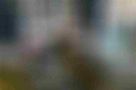 Hot Seaweeds Are Having Sex In Your Area And We Funded It We Are Explorers