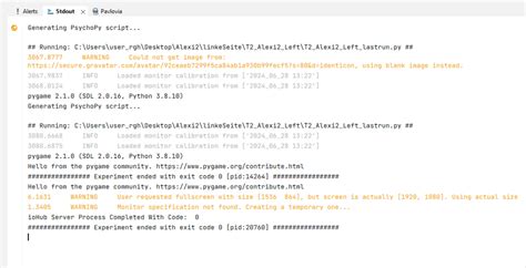 Experiment Automatically Starts Two Times Builder Psychopy