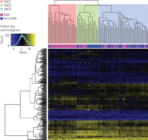 Heatmap Of Hierarchical Clustering On 104 Asthmatic Subjects Columns