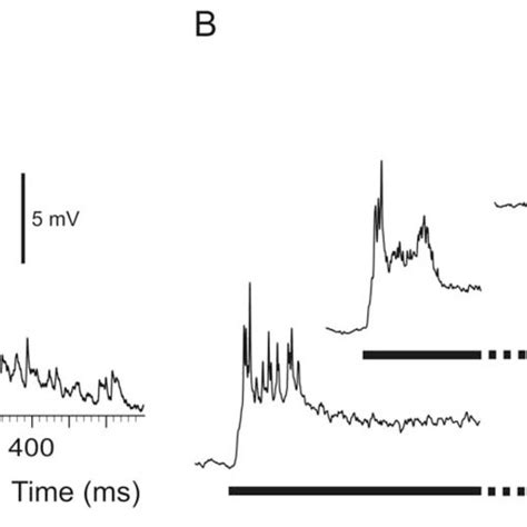 Oscillations In The Membrane Potential Evoked By Sine Wave Stimuli Of